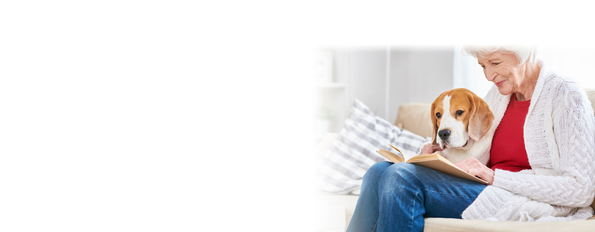 Low Vision Devices The Vision Council Foundation Vision Health